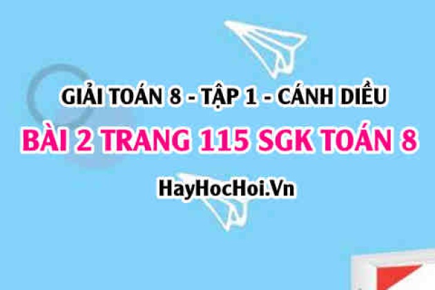 Giải bài 2 trang 115 Toán 8 Tập 1 SGK Cánh Diều